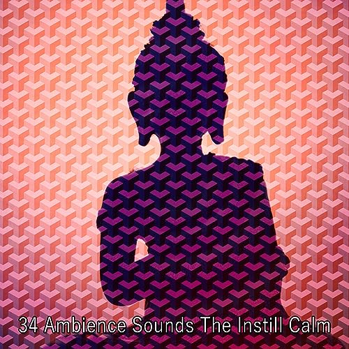Amazon.com: 34 Ambience Sounds The Instill Calm : Music for Deep ...