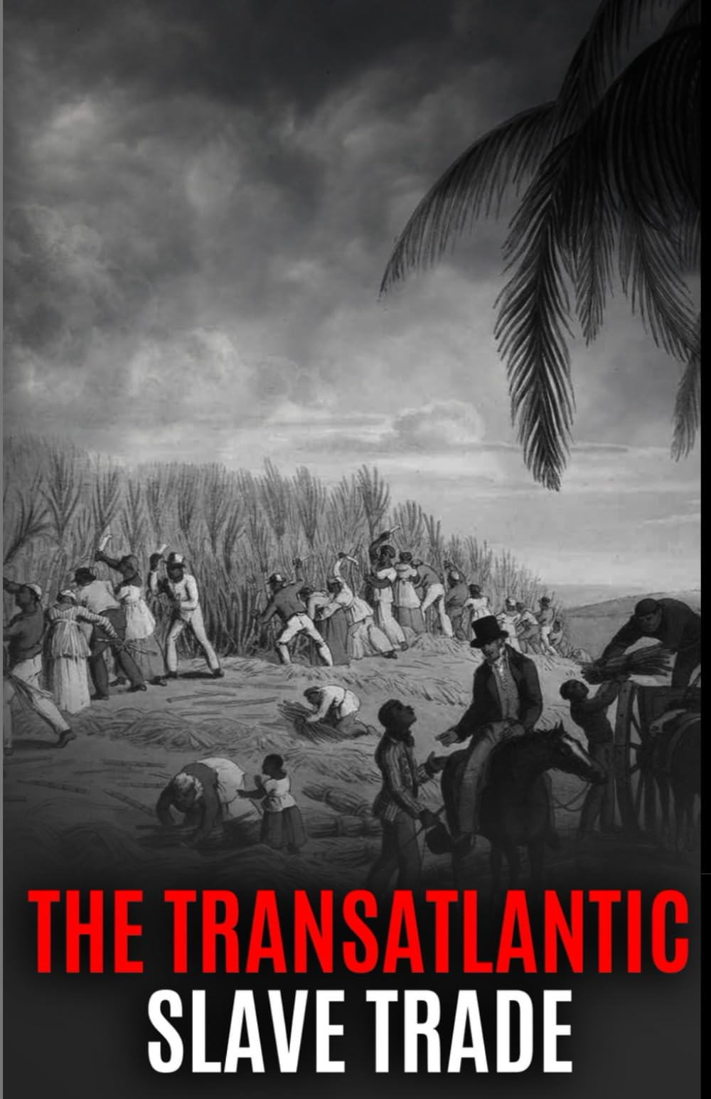The Transatlantic Slave Trade: Uncover the Shocking Story of How 12.5 ...
