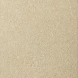 Amazon.com: UART Premium Sanded Pastel Paper - 9"x12" - 10 Sheet Pad ...