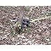 Amazon.com : Brush Grubber BG-01 Original Brush Grubber,Small : Tree ...