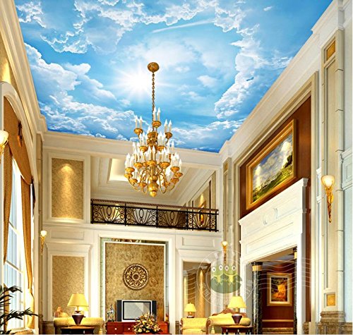 Illuminating Space Ceiling Murals Wallpaper Amazon.com: KOMNNI Custom