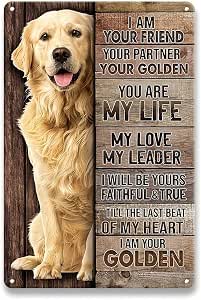 Amazon.com: Vintage Golden Retriever I Am Your Friend Your Partner ...