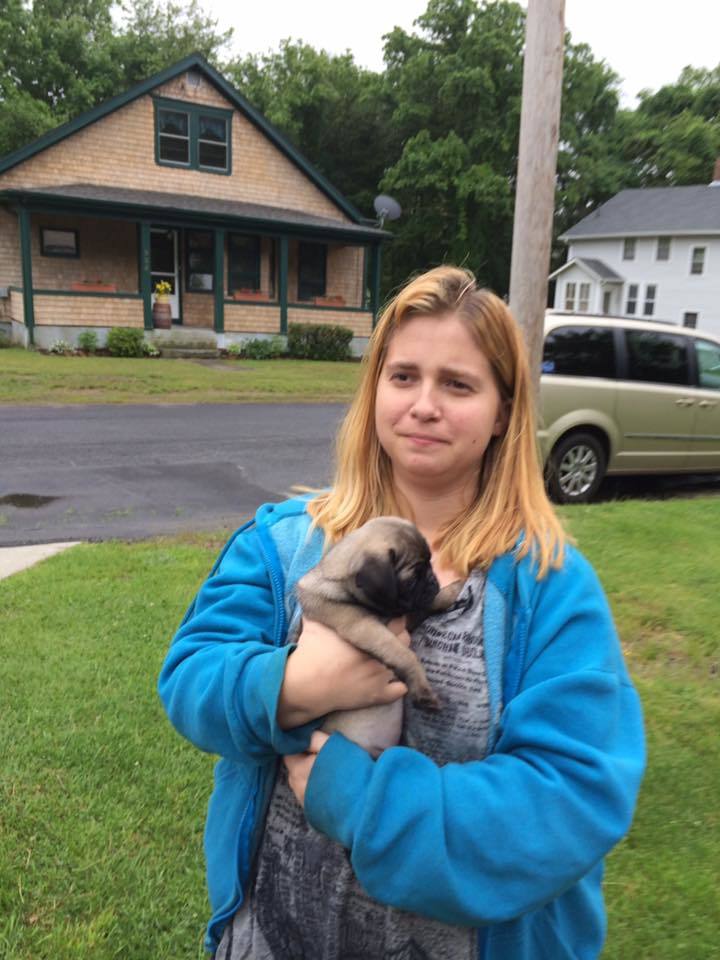 Amazon.com: Elizabeth Larsen: books, biography, latest update