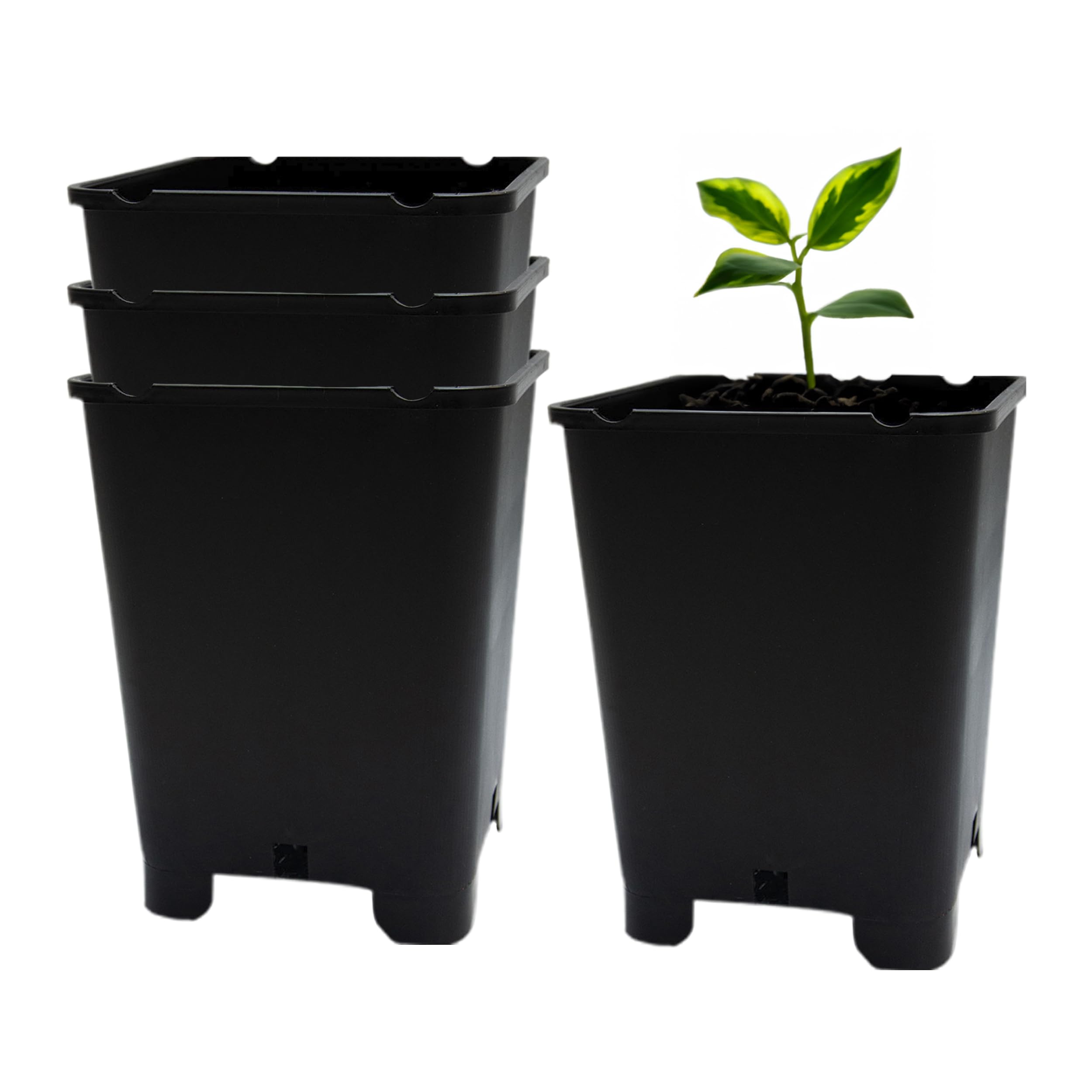 Atmos Homeware Maceta Cuadrada de Plástico con Patas | Paquete de ...