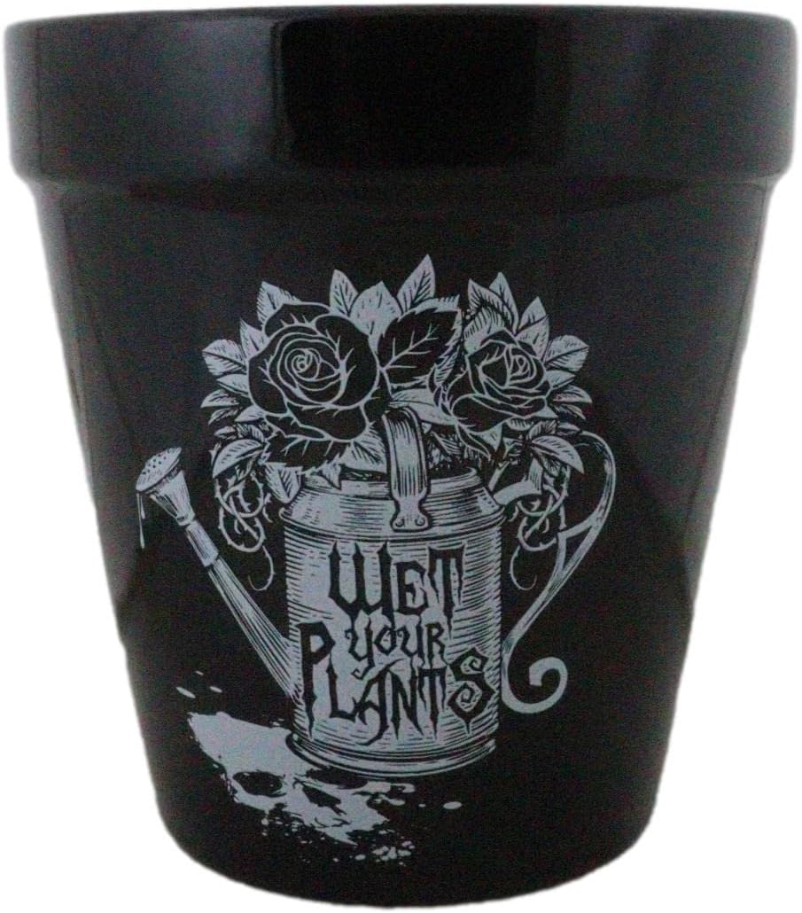 Amazon.com : Ebros Gift Wicca Witchcraft Gothic Magic Black Ceramic ...