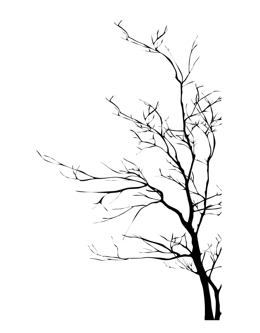 Amazon.com: Stickerbrand Nature Vinyl Wall Art Bare Tree Branch Wall ...