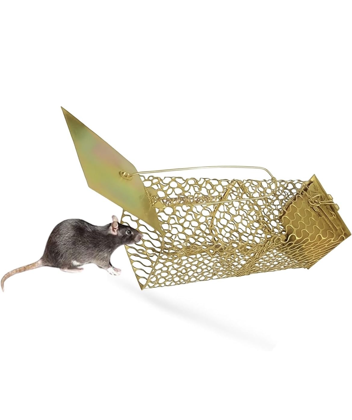 Rat Catcher