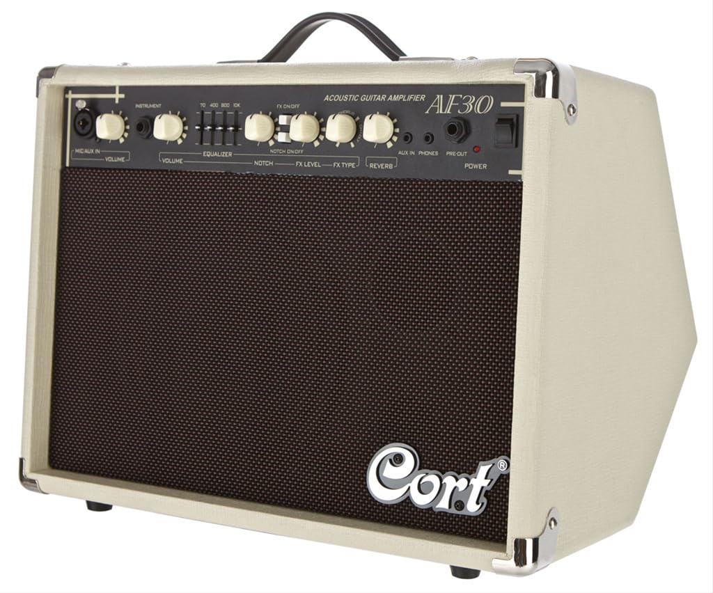 Cort Acoustic Amplifier AF Series 30 Watts AF30 : Amazon.in: Musical ...