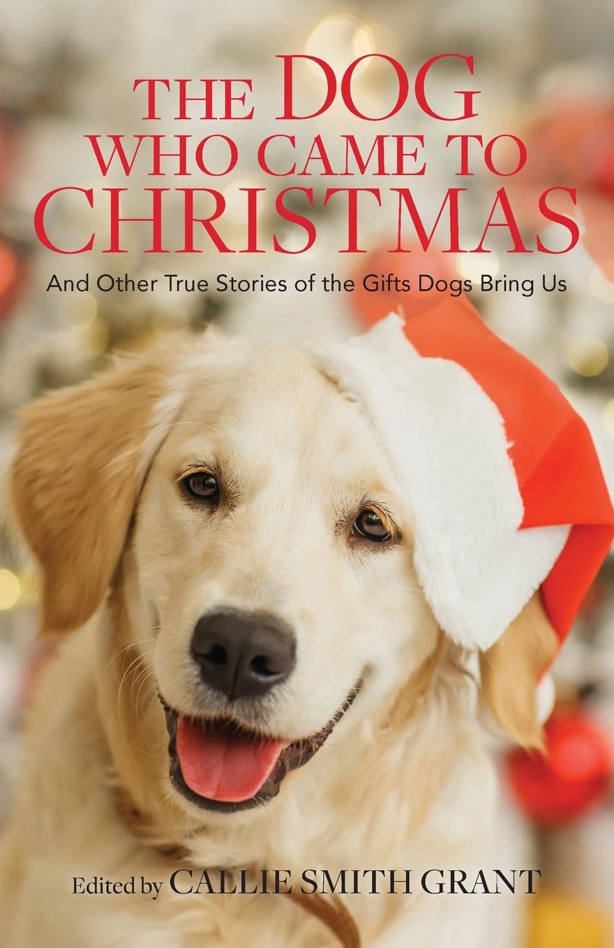 The Dog Who Came to Christmas: And Other True Stories of the Gifts Dogs ...