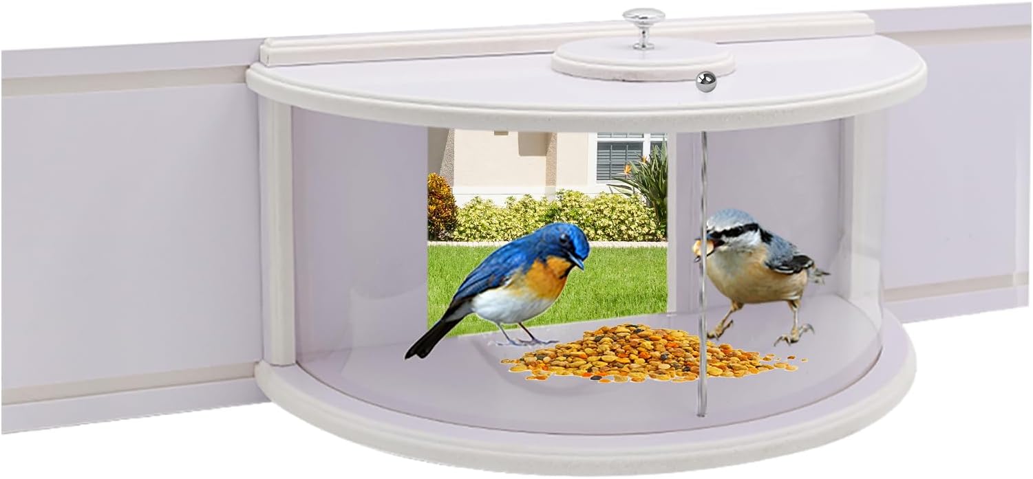 Amazon.com : Window Bird Feeder Birdwatching Indoors,Clear View,180 ...