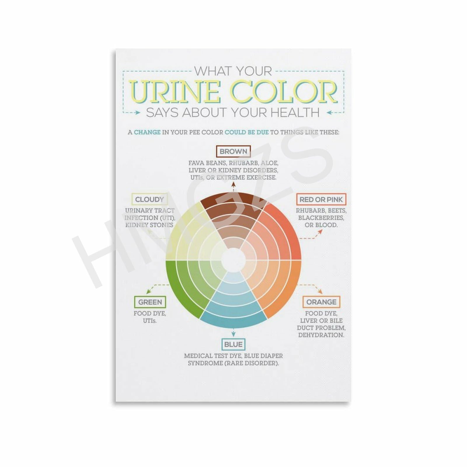 Bile Color Chart Your Child's Poop: An Ultimate Guide CHOC