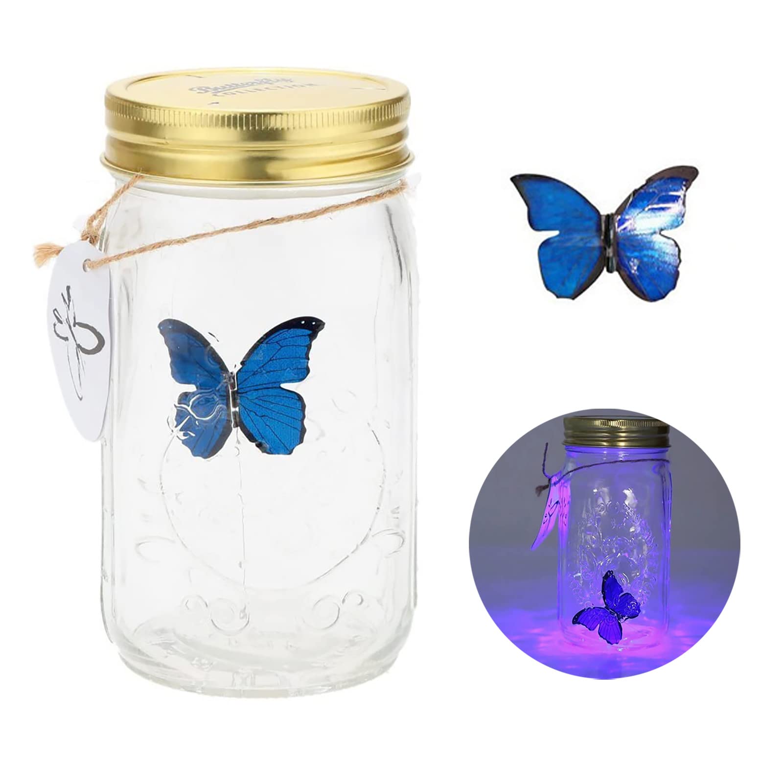 10 Best Butterfly Collection Jars for Displaying Your Beautiful Insects ...
