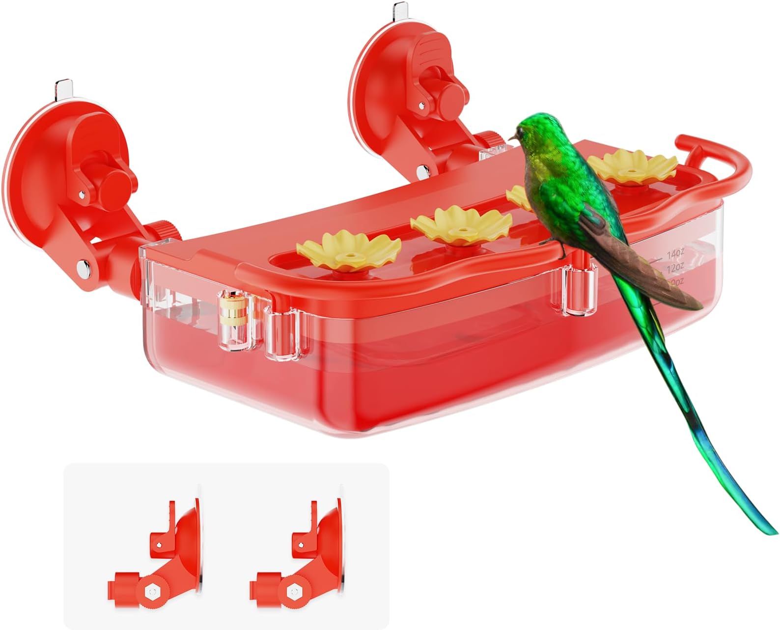 Amazon.com : WINDOW MOUNT HUMMINGBIRD FEEDER : Patio, Lawn & Garden