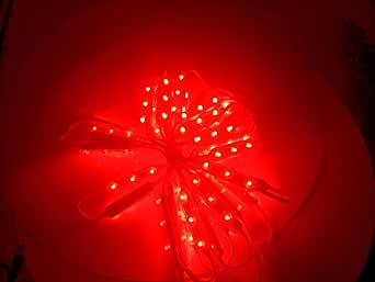 Amazon.com: 20Ft LED Module Red 1.2W 12V No Polarity Input Waterproof ...