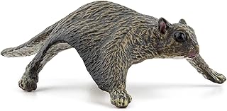 Are Flying Squirrels Bats: Debunking The Myths And Exploring The ...