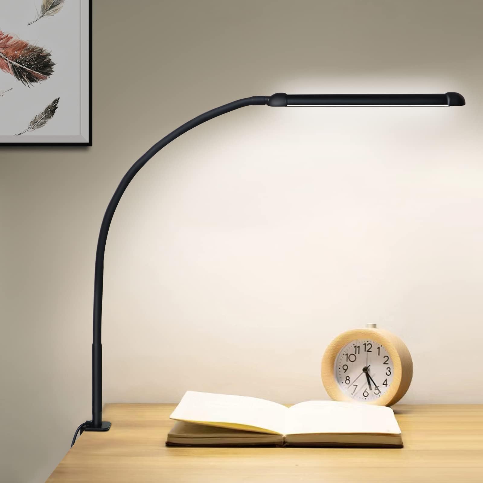 Phimuezl LED Desk Lamp with Clamp, Clamp Light with Adjustable Color ...