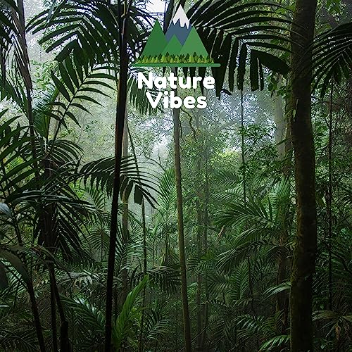 Amazon Music - Nature VibesのProfound Slumber - Amazon.co.jp