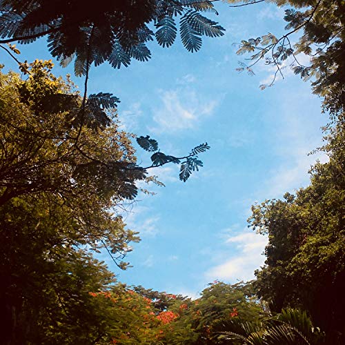 Play Wonders by AJ Rios on Amazon Music