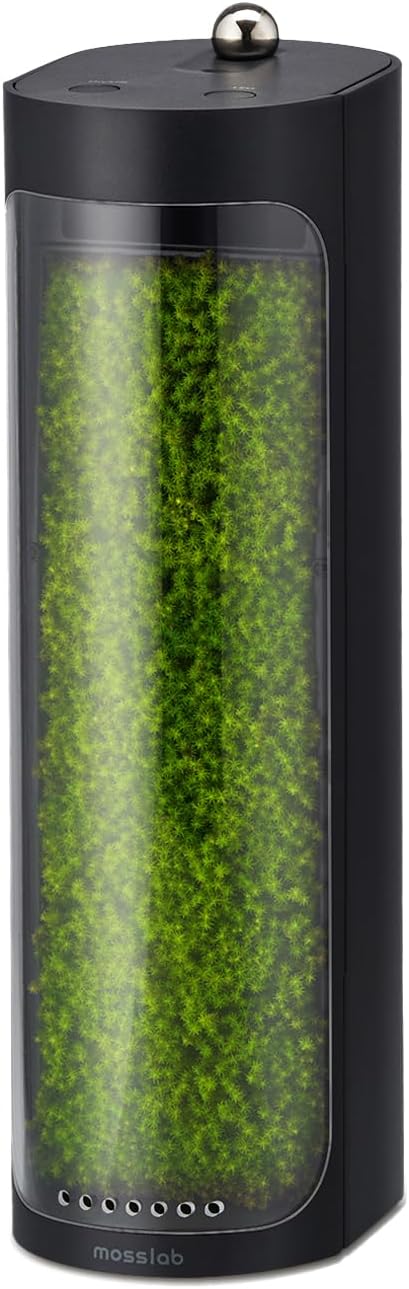 Amazon.com: Mosslab Moss Air - Living Moss Humidifier | Aesthetic ...