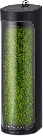 Amazon.com: Mosslab Moss Air - Living Moss Humidifier | Aesthetic ...