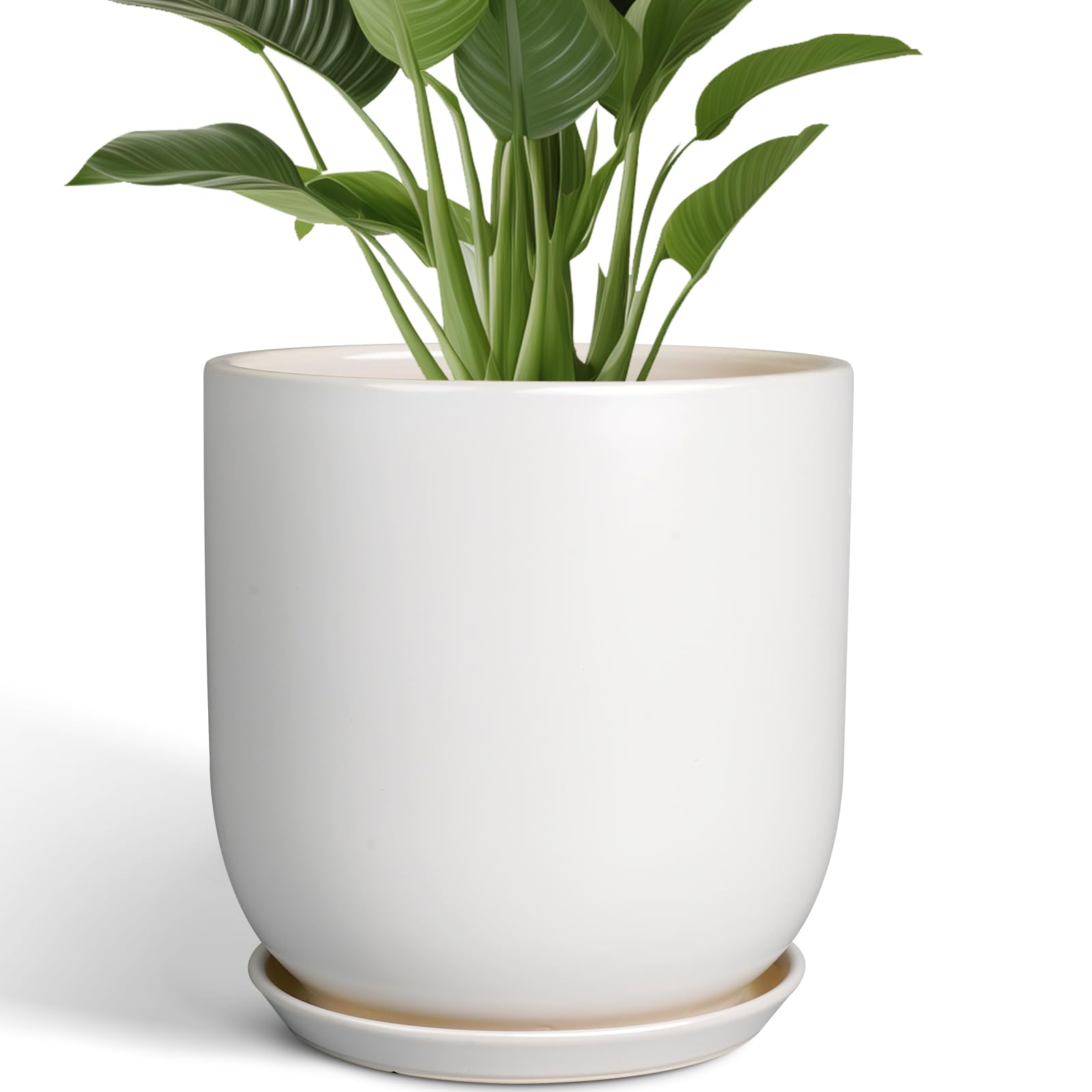 Amazon.com : SUNPOTFOR Plant Pot 12 inch - Ceramic Pot for Plants ...