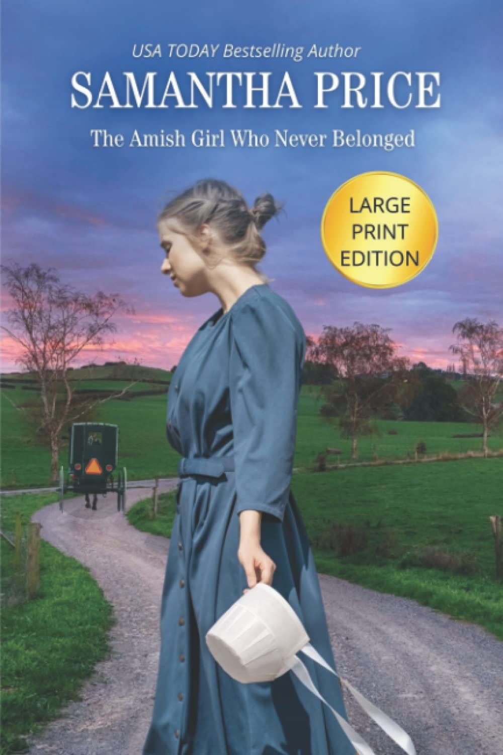 The Amish Girl Who Never Belonged LARGE PRINT (Amish Misfits): Price ...