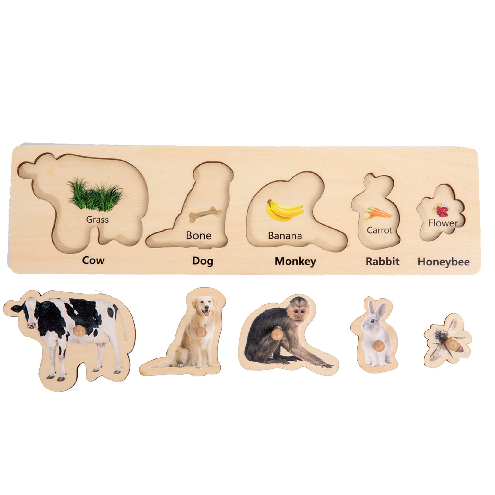 Amazon.com: Adena Montessori AInteractive Animal Puzzle Set: Discover ...