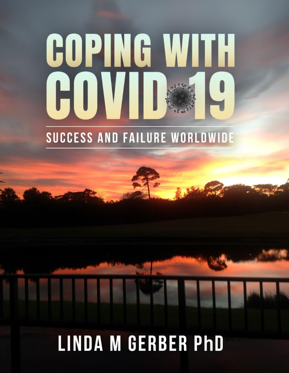 Coping with COVID-19: Success and Failure Worldwide: Gerber PhD, Linda M: 9798598457924: Amazon ...