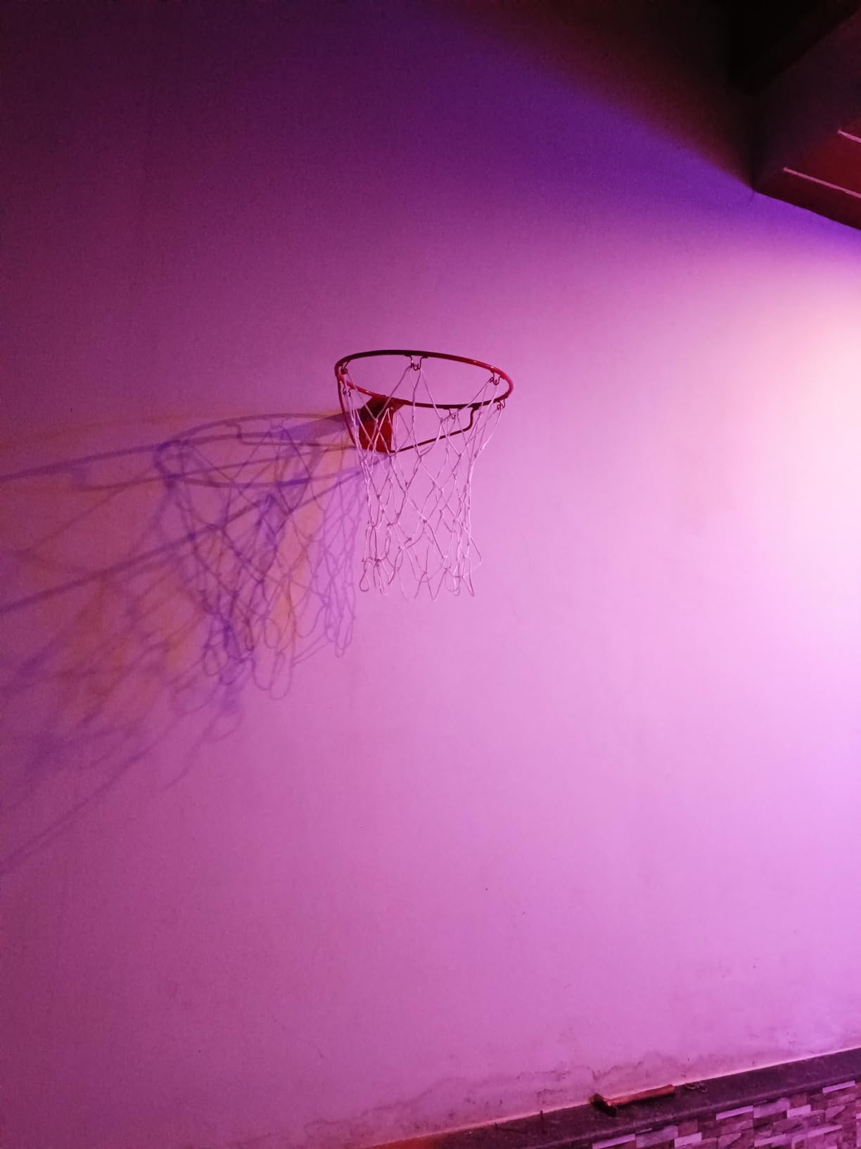 Griffin Basketball Set Full Size Basketball Ring with Basketball Brick ...