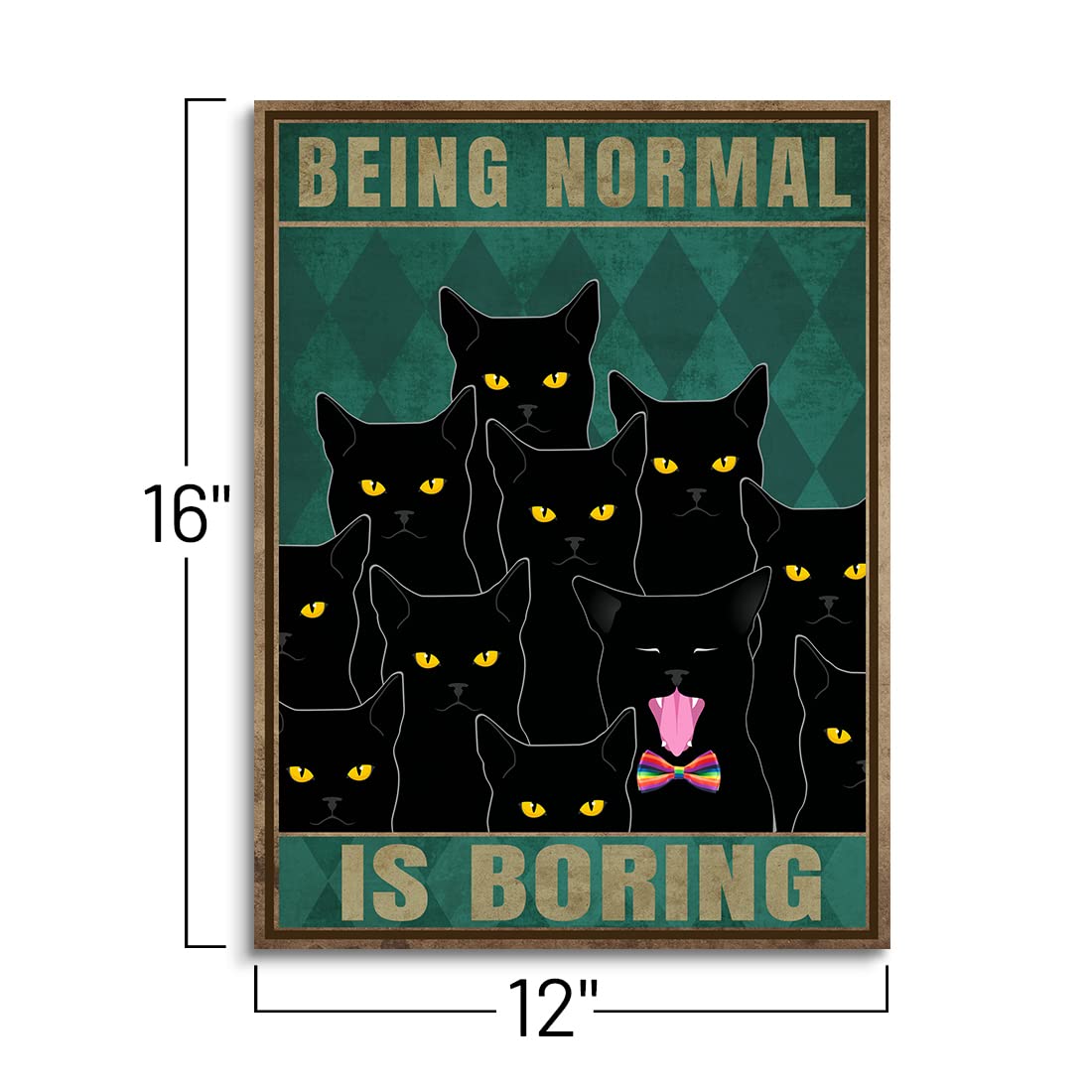 So Boring Cat