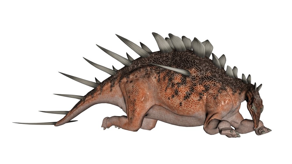 Kentrosaurus Size