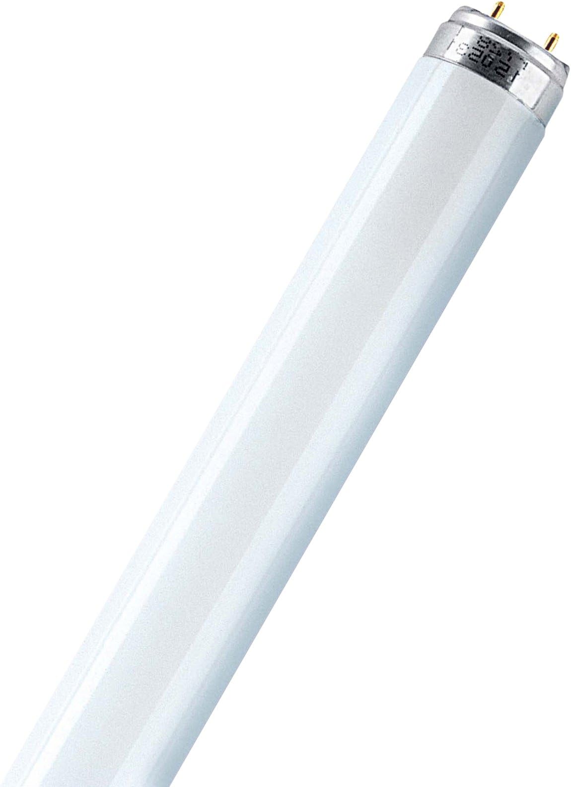 Leuchtstofflampe L 36 Watt 865 - Osram 36W Tageslicht : Amazon.de ...
