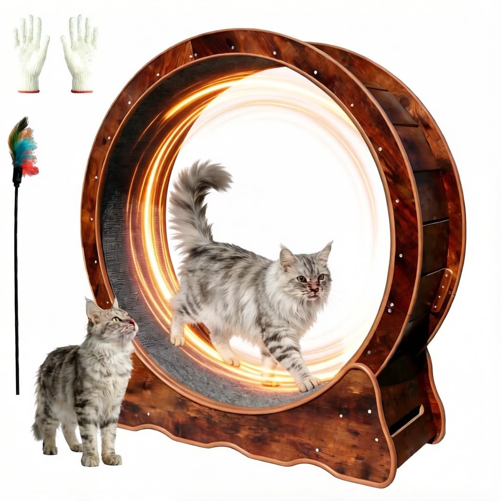 9 Best Cat Wheel | Why Cheap Cat Wheels Harm Your Cat's Spine