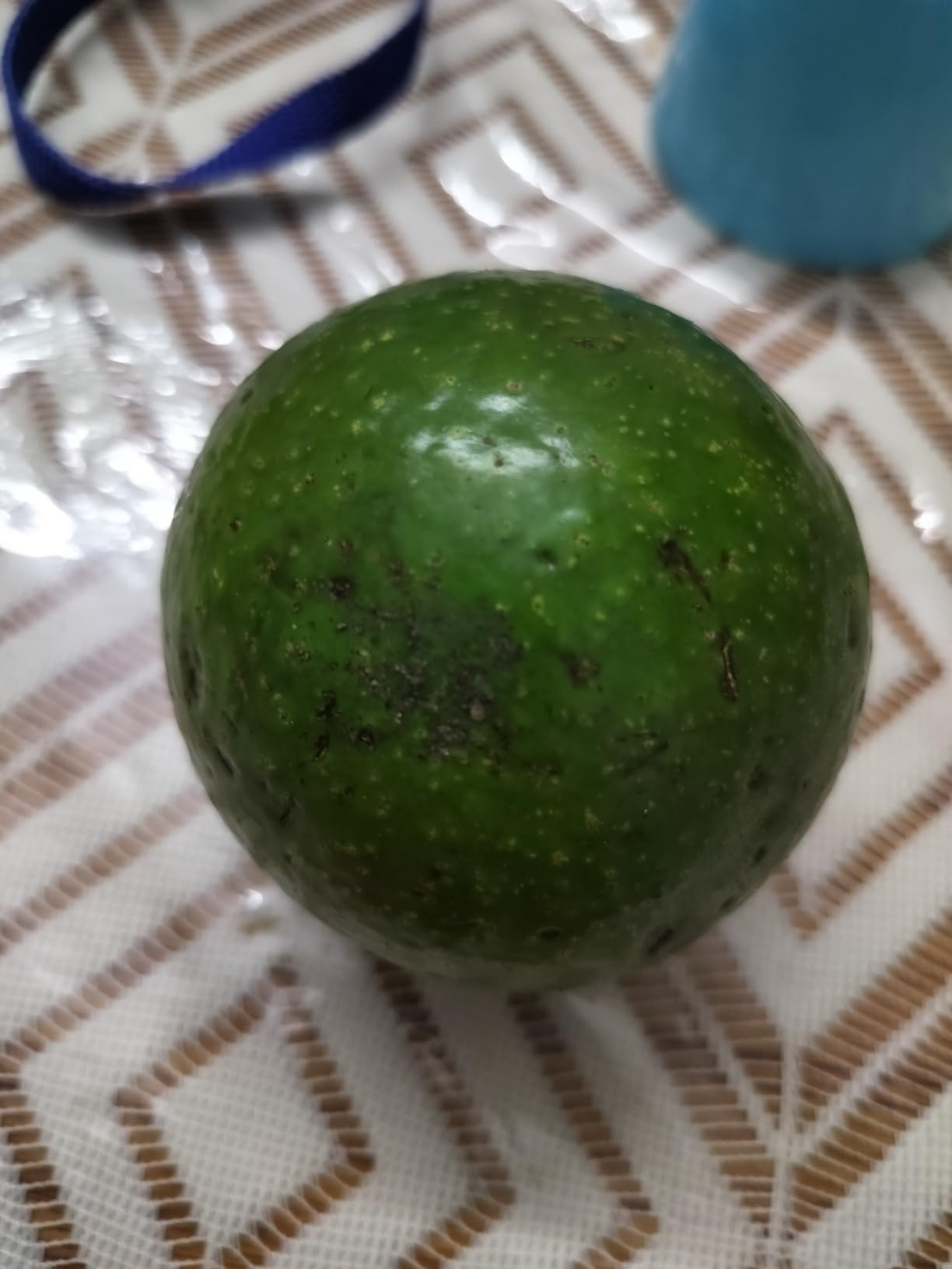Fresh Avocado, Indian (Approx. 200 g- 250 g) : Amazon.in: Grocery ...