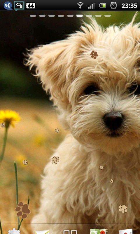 Cute Puppy Live Wallpaper:Amazon.co.uk:Appstore for Android