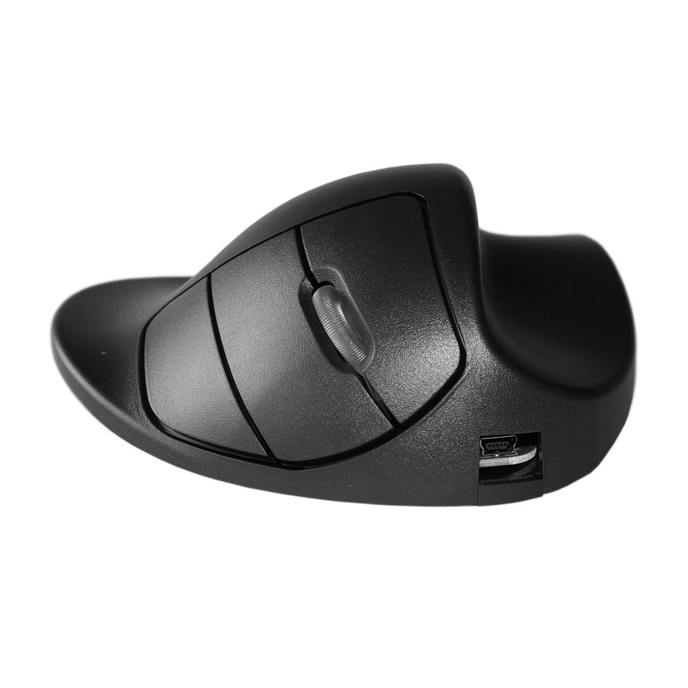 Amazon.com: Hippus L2UB-LC Wireless Light Click HandShoe Mouse (Right ...