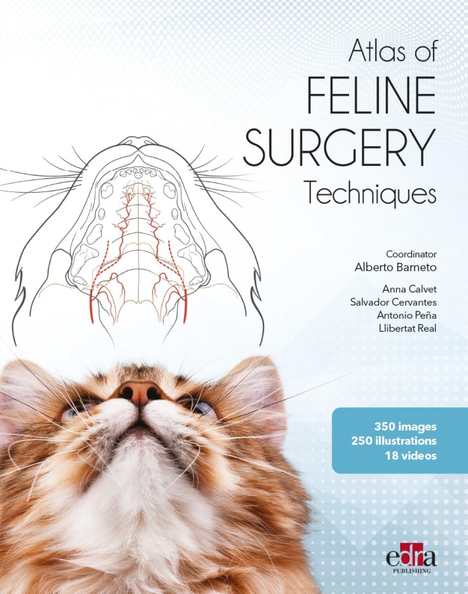 Atlas of feline surgery techniques : Barneto, Alberto, Calvet, Anna ...