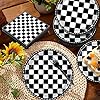 Amazon.com: 96 Pcs Checkered Plates and Napkins Party Supplies Racing ...