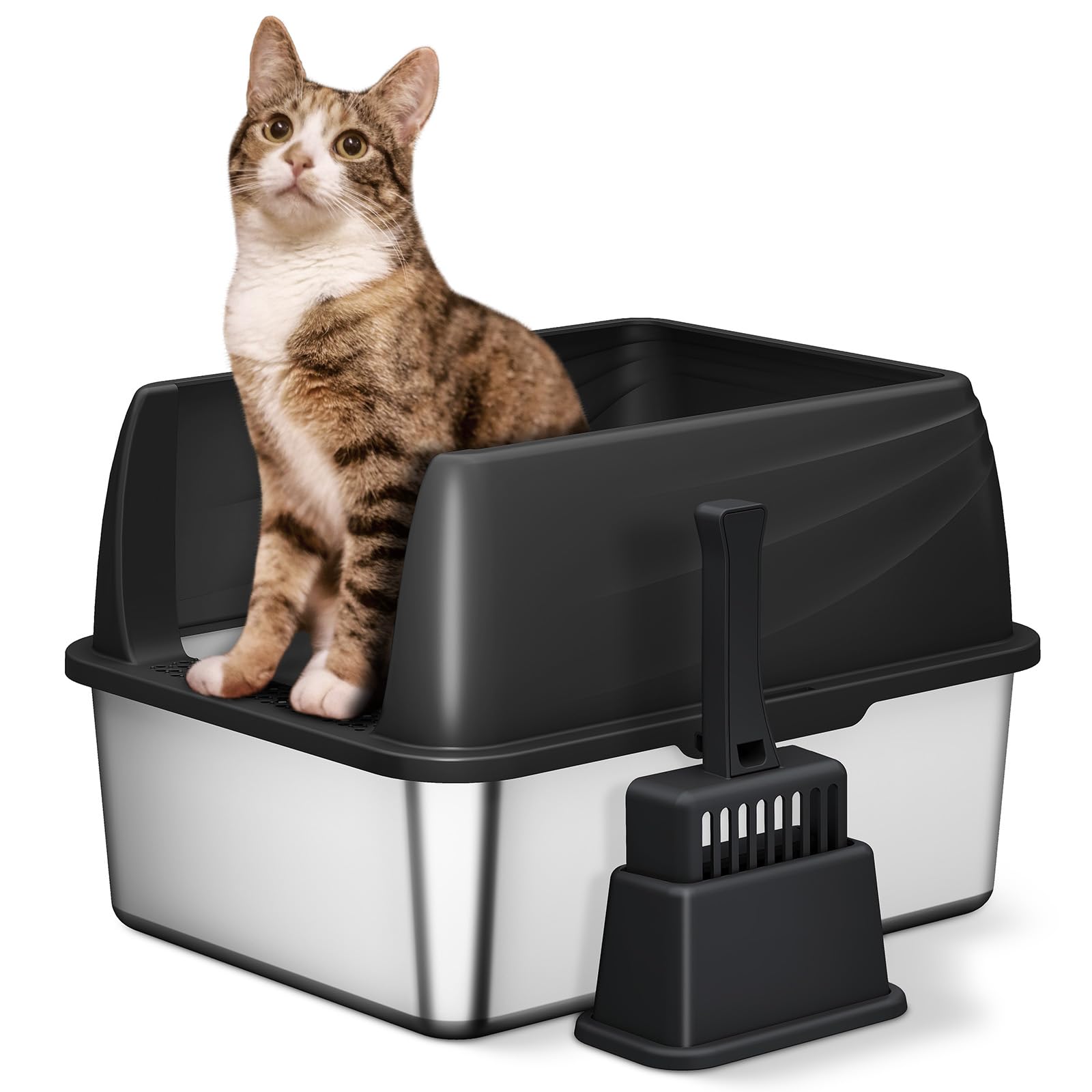 Amazon.com : Denkee Stainless Steel Litter Box for Kittens, Small Cat ...