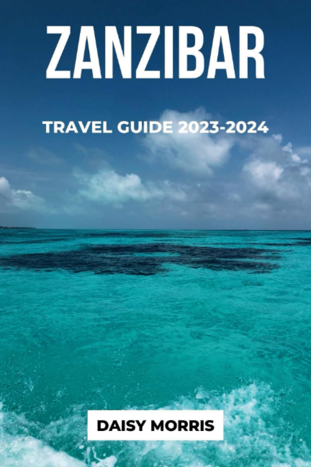 ZANZIBAR TRAVEL GUIDE 2023-2024: Zanzibar Travel Guide 2023-2024: A ...