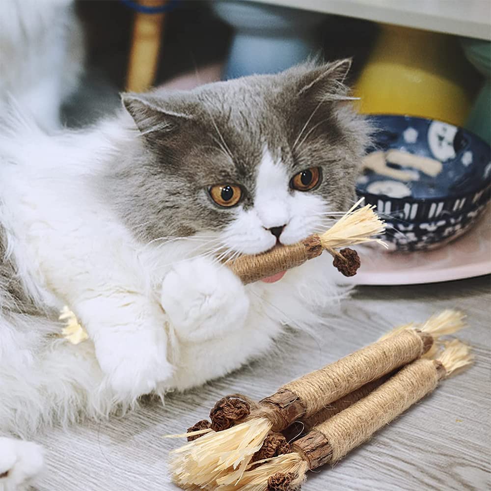 Organic Cotton Chew Rope Toys For Cats LEKEWPET 6PCS Catnip Chew Sticks ...