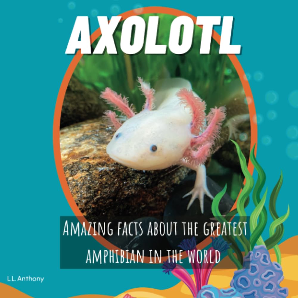 Axolotl: Amazing facts about the greatest amphibian in the world: An ...
