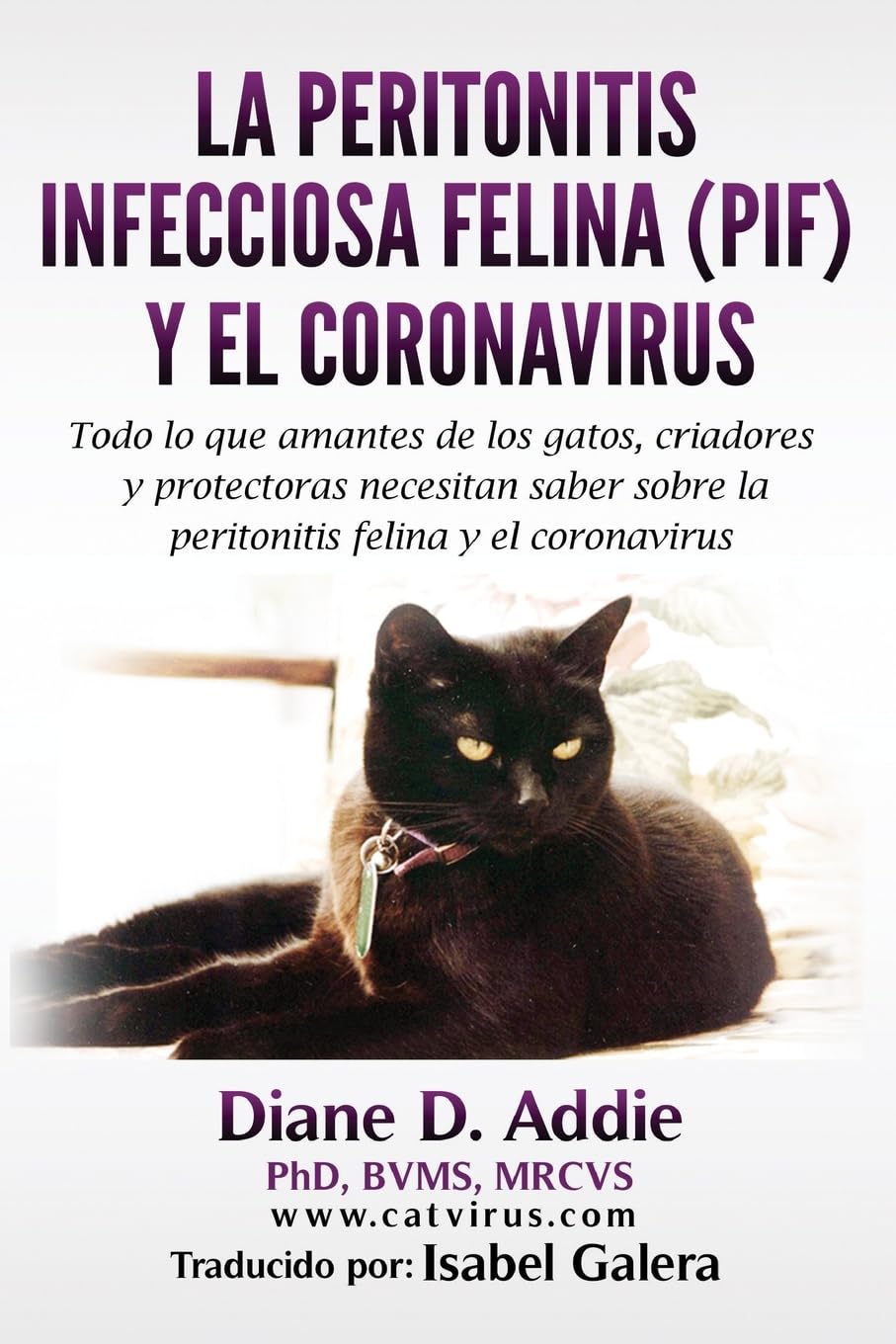 La Peritonitis Infecciosa Felina (PIF) y el Coronavirus: Todo lo que ...