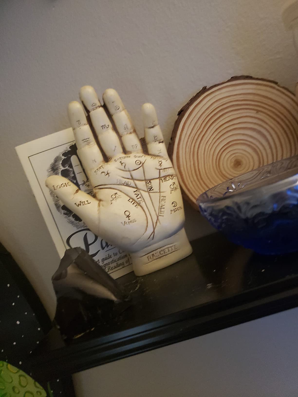 $3/mo - Finance Palmistry Hand Model Resin Sculpture Fortune Telling ...