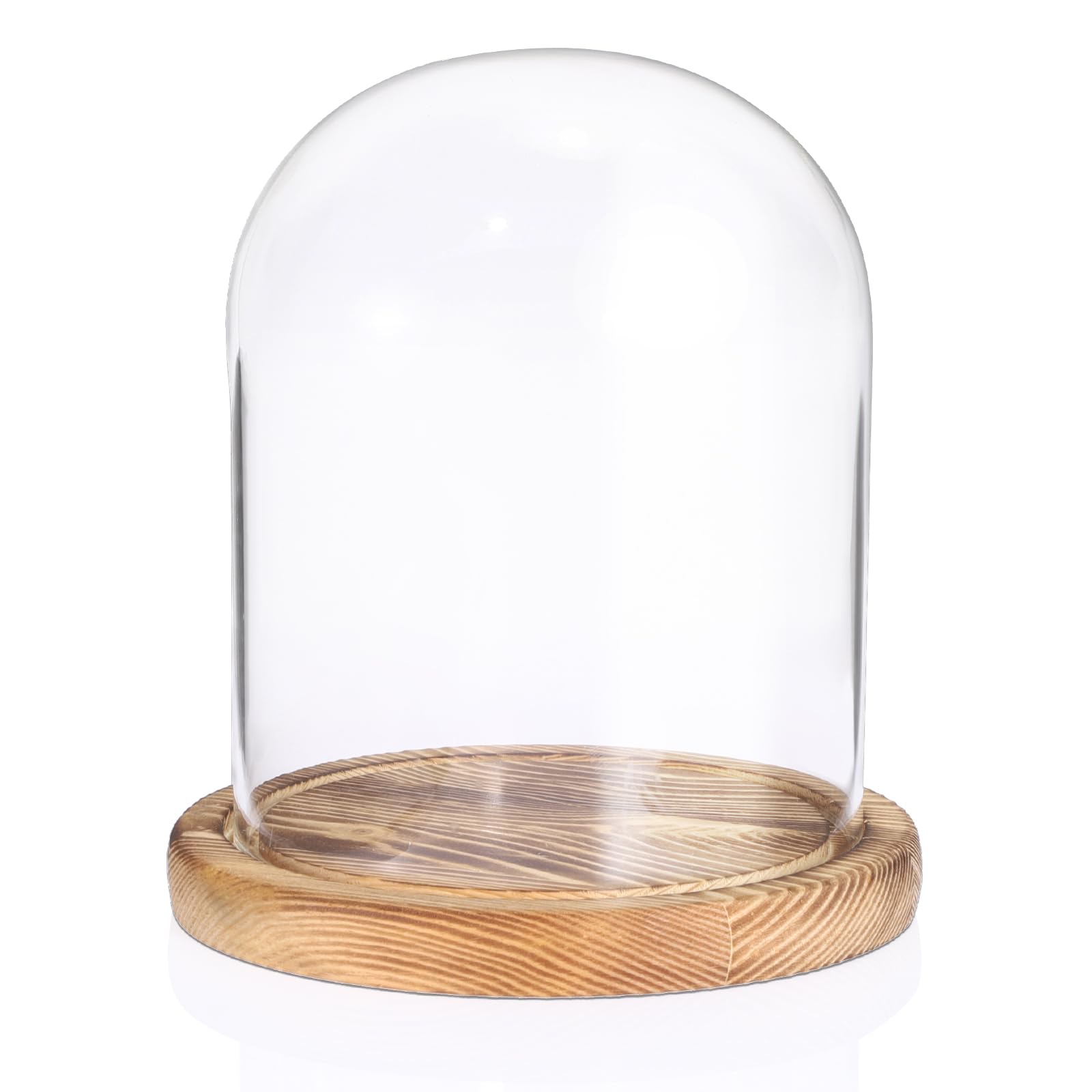 SUMNACON Glass Display Cloche Dome with Vintage Wooden Base, Decorative ...