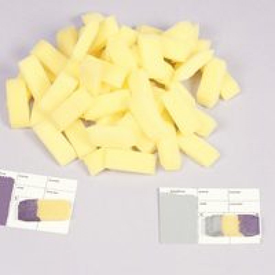 FOAM PRO 00041 Color Match Applicators, 1000-Pack - House Paint ...