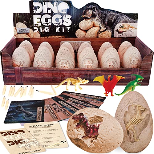 Top 10 Best Dinosaur Egg Dig Kit : Reviews & Buying Guide - Katynel