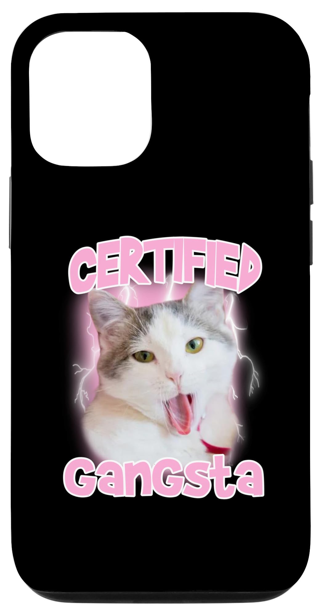 Gangsta Cat Meme
