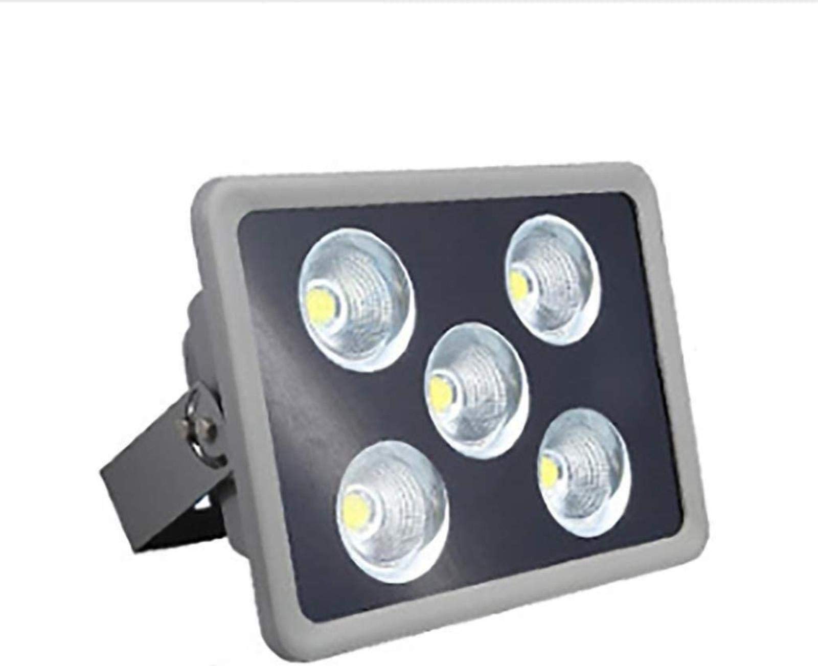 250 Watt Led Flood Light
