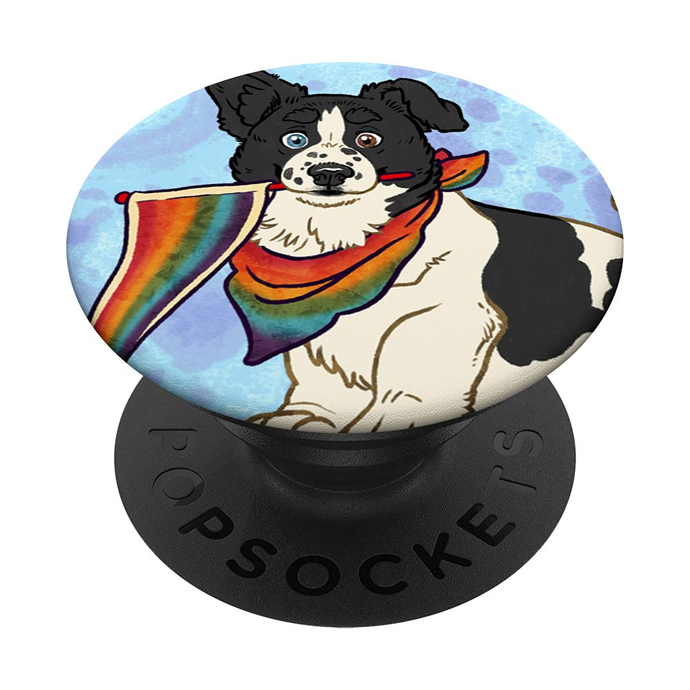 Corgi Border Collie Mix Puppies